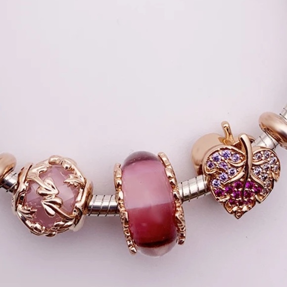 Pandora | Jewelry | Pandora New Rose Gold Charm Set | Poshmark